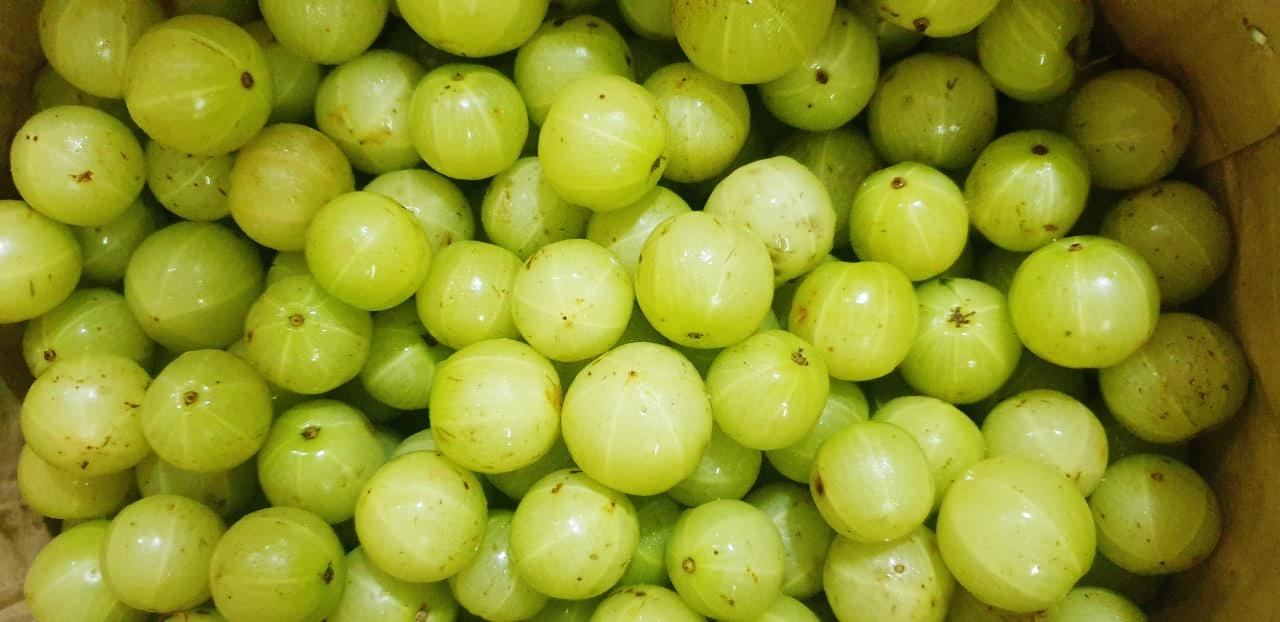 Nellikai Oorgai/ Gooseberry Pickle /Amla Pickle – Cook & See